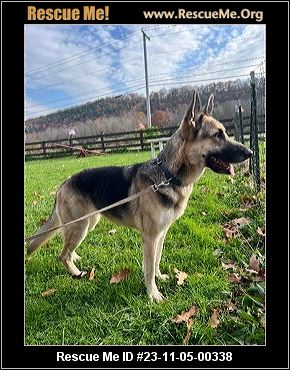 - Pennsylvania German Shepherd Rescue - ADOPTIONS - Rescue Me!