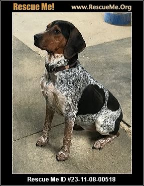 - Nebraska Dog Rescue - ADOPTIONS - Rescue Me!