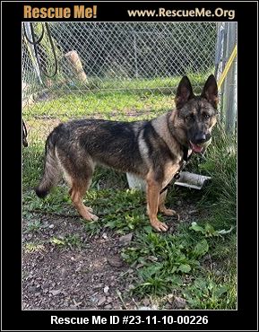 - Michigan German Shepherd Rescue - ADOPTIONS - Rescue Me!