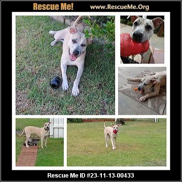 - Louisiana Dog Rescue - ADOPTIONS - Rescue Me!