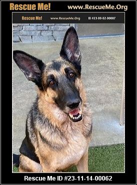 - West Virginia Dog Rescue - ADOPTIONS - Rescue Me!