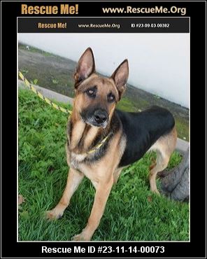 - West Virginia Dog Rescue - ADOPTIONS - Rescue Me!