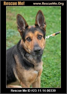 - Pennsylvania German Shepherd Rescue - ADOPTIONS - Rescue Me!