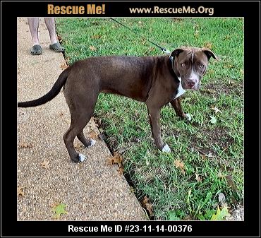 - Louisiana Dog Rescue - ADOPTIONS - Rescue Me!