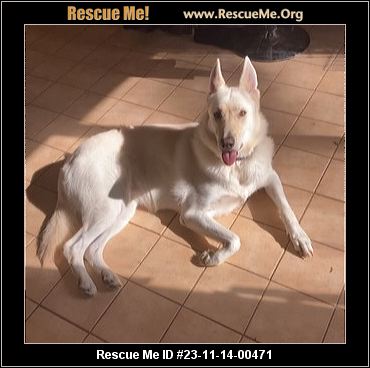 - Pennsylvania German Shepherd Rescue - ADOPTIONS - Rescue Me!
