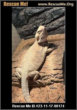 - Washington Reptile/Amphibian Rescue - ADOPTIONS - Rescue Me!