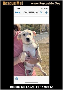 - New York Dog Rescue - ADOPTIONS - Rescue Me!