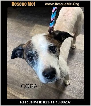 - Delaware Dog Rescue - ADOPTIONS - Rescue Me!