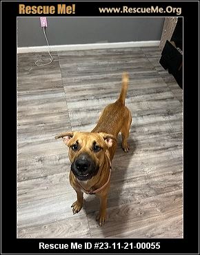 - Georgia Boxer Rescue - ADOPTIONS - Rescue Me!