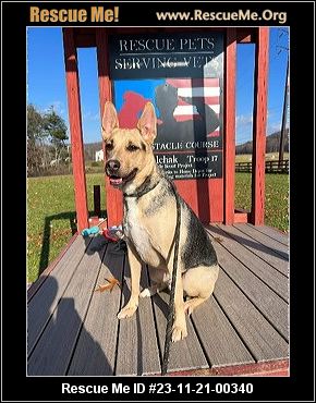 - Pennsylvania German Shepherd Rescue - ADOPTIONS - Rescue Me!