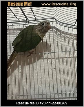 - California Pet Bird Rescue - ADOPTIONS - Rescue Me!