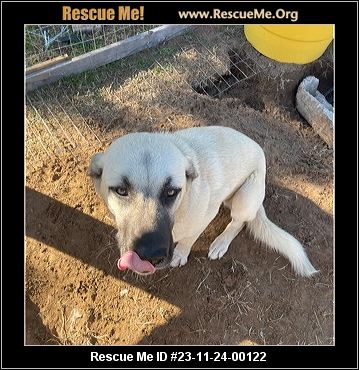 - Oklahoma Dog Rescue - ADOPTIONS - Rescue Me!