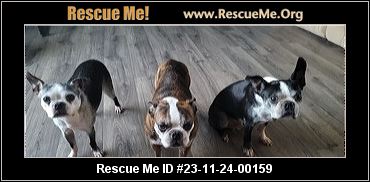 - West Virginia Dog Rescue - ADOPTIONS - Rescue Me!