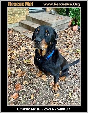 - Texas Rottweiler Rescue - ADOPTIONS - Rescue Me!