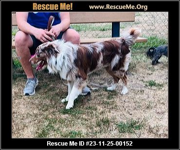 - Iowa Dog Rescue - ADOPTIONS - Rescue Me!