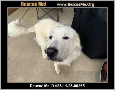 - Oklahoma Dog Rescue - ADOPTIONS - Rescue Me!