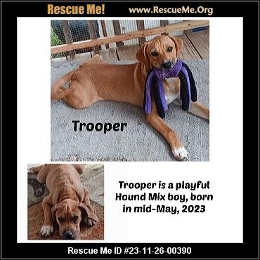 - Arkansas Dog Rescue - ADOPTIONS - Rescue Me!