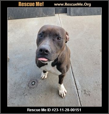 - Nebraska Dog Rescue - ADOPTIONS - Rescue Me!