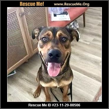 - California Rottweiler Rescue - ADOPTIONS - Rescue Me!