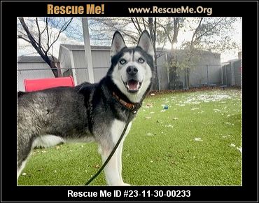 - Utah Dog Rescue - ADOPTIONS - Rescue Me!