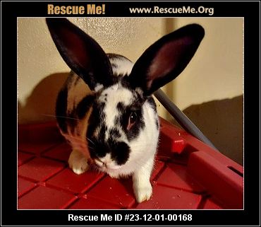 - Pennsylvania Rabbit Rescue - ADOPTIONS - Rescue Me!