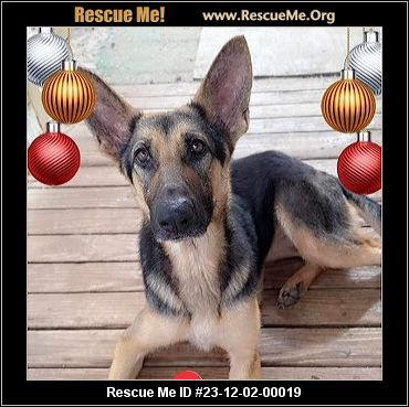 - Maryland Dog Rescue - ADOPTIONS - Rescue Me!