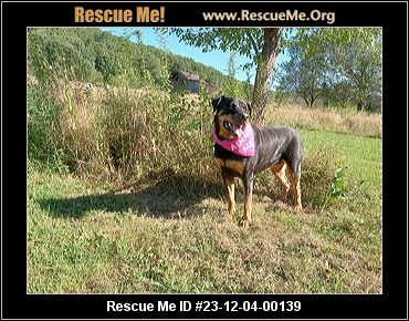 - Virginia Rottweiler Rescue - ADOPTIONS - Rescue Me!