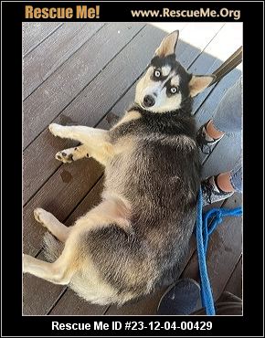 - Oregon Dog Rescue - ADOPTIONS - Rescue Me!