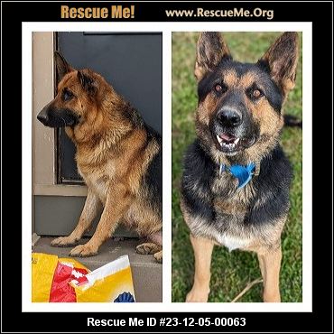 - Pennsylvania German Shepherd Rescue - ADOPTIONS - Rescue Me!