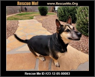 - Arizona Corgi Rescue - ADOPTIONS - Rescue Me!