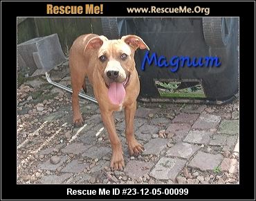 - Mississippi Dog Rescue - ADOPTIONS - Rescue Me!