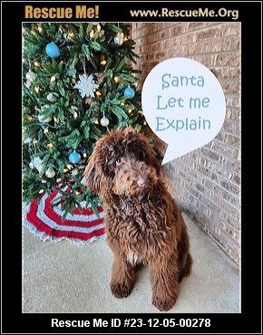 - Furever Angels Animal Rescue - Charlotte, NC - AVAILABLE PETS