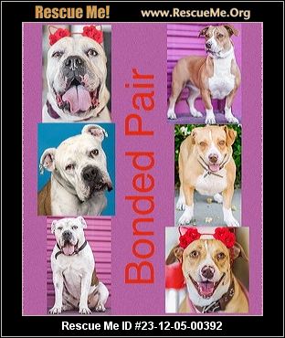 - California Corgi Rescue - ADOPTIONS - Rescue Me!