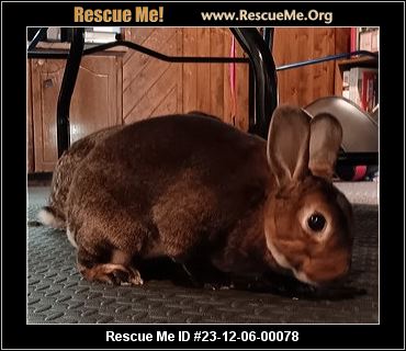- Oklahoma Rabbit Rescue - ADOPTIONS - Rescue Me!