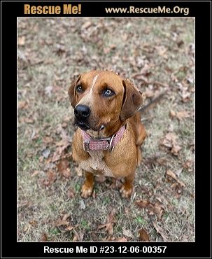 - Tennessee Dog Rescue - ADOPTIONS - Rescue Me!