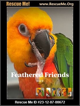 - Pennsylvania Pet Bird Rescue - ADOPTIONS - Rescue Me!