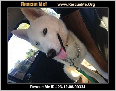 - Tennessee Dog Rescue - ADOPTIONS - Rescue Me!