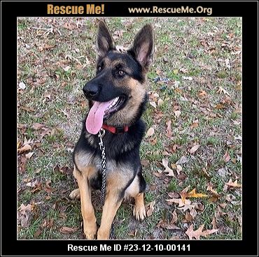 - Michigan German Shepherd Rescue - ADOPTIONS - Rescue Me!