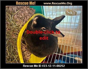 - Illinois Rabbit Rescue - ADOPTIONS - Rescue Me!
