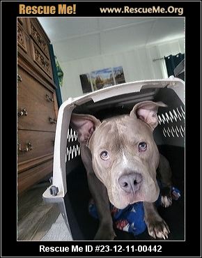 - Oregon Dog Rescue - ADOPTIONS - Rescue Me!