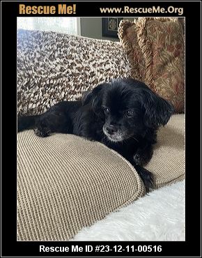 - Delaware Dog Rescue - ADOPTIONS - Rescue Me!