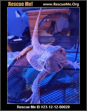 - Illinois Reptile/Amphibian Rescue - ADOPTIONS - Rescue Me!