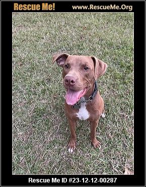 - North Carolina Dog Rescue - ADOPTIONS - Rescue Me!