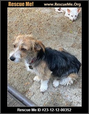 - Oregon Dog Rescue - ADOPTIONS - Rescue Me!