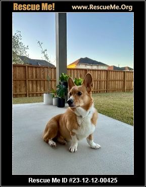 - Texas Corgi Rescue - ADOPTIONS - Rescue Me!