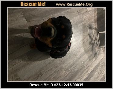 - West Virginia Dog Rescue - ADOPTIONS - Rescue Me!