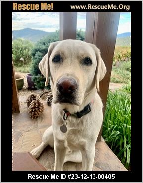 - Oregon Dog Rescue - ADOPTIONS - Rescue Me!