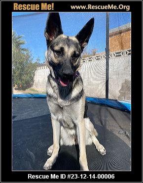 - Nevada Dog Rescue - ADOPTIONS - Rescue Me!