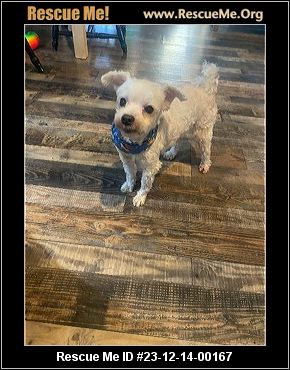 - Indiana Dog Rescue - ADOPTIONS - Rescue Me!