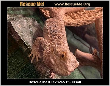- Oregon Reptile/Amphibian Rescue - ADOPTIONS - Rescue Me!
